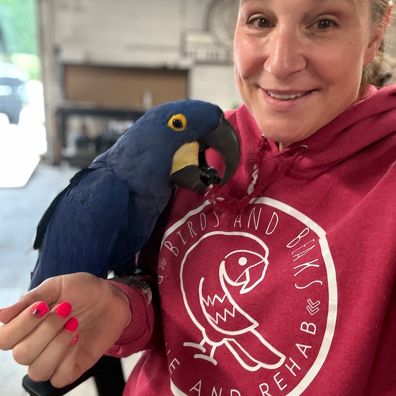 Bird Rescue Men - Etsy