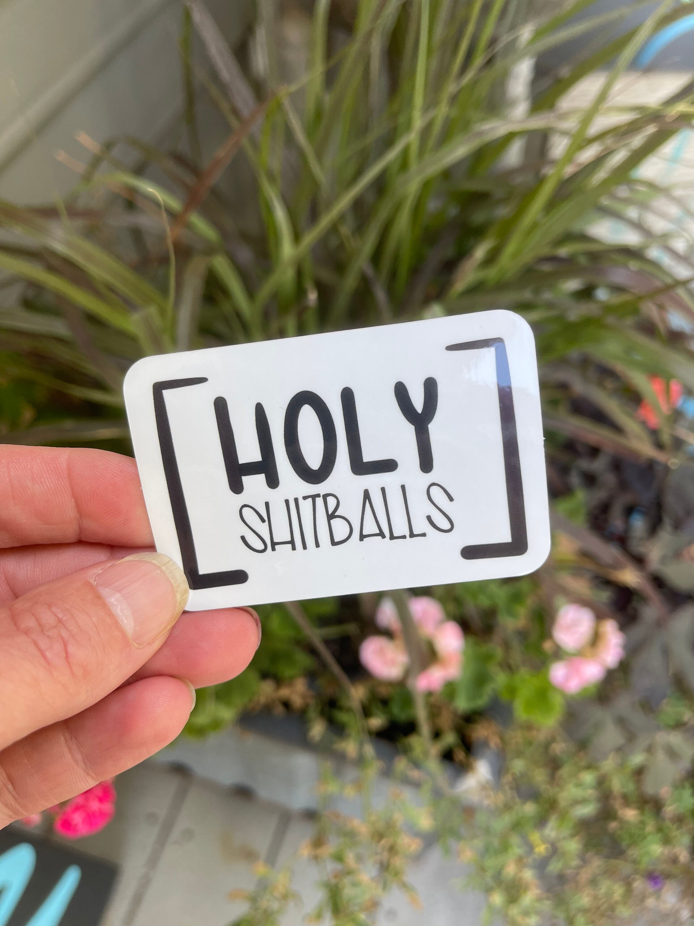 Holy Shitballs Mom