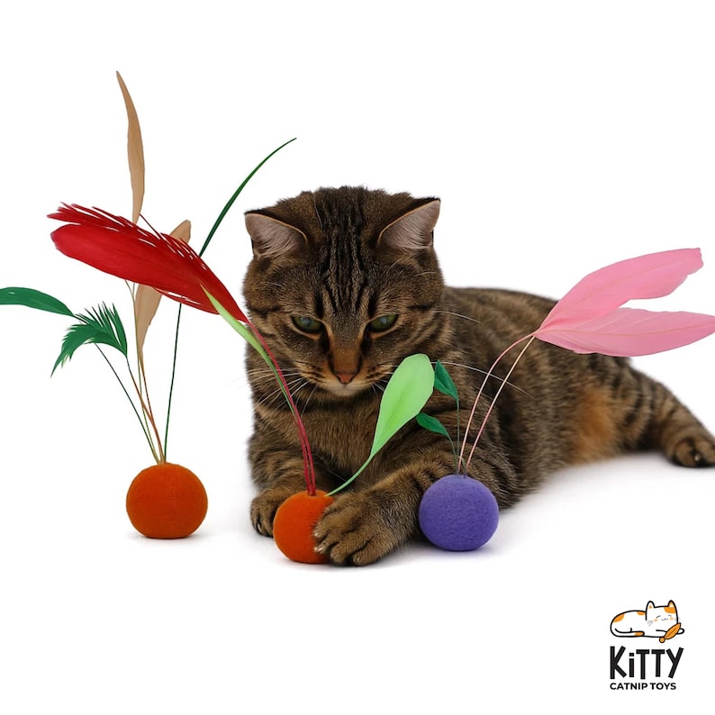 Feather Cat Toss Toy – Handmade Wool Felt Ball, Catnip Infused Play Toy ...