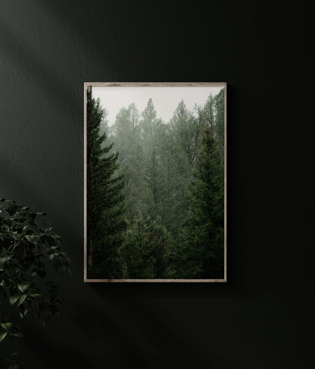 Pacific Northwest Moody Forest Print PNW Art PNW Photography Moody ...
