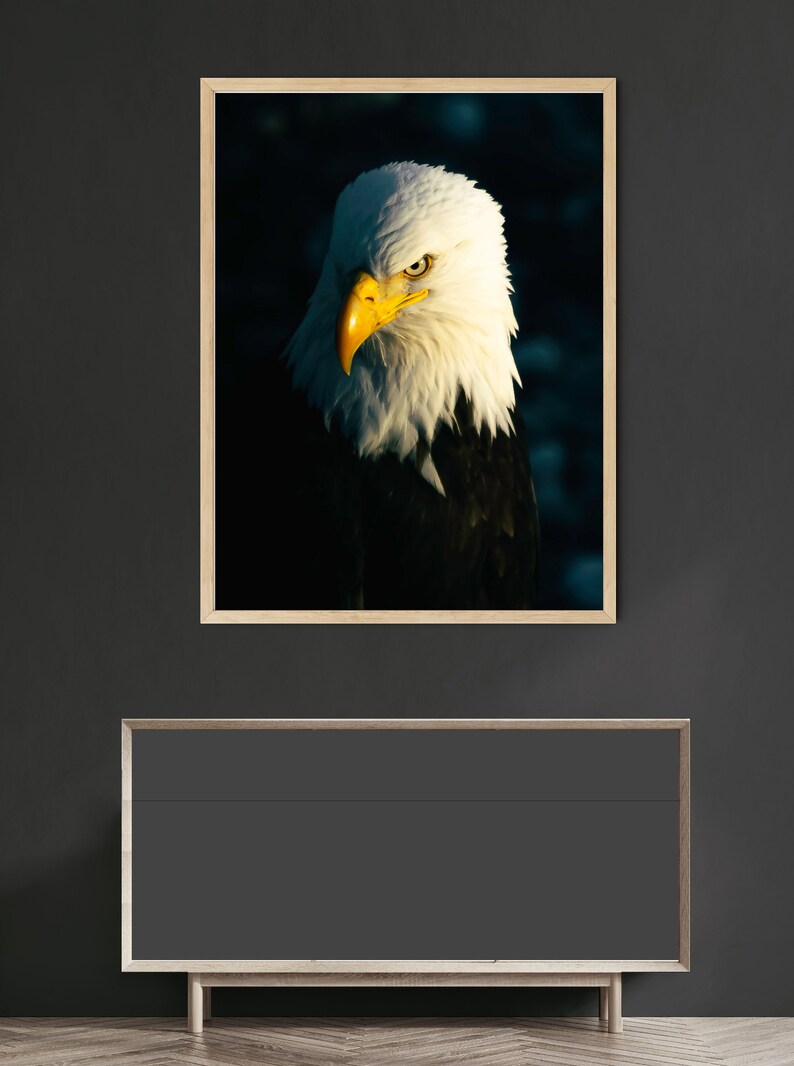 Fine Art Bald Eagle Print Bald Eagle Wall Art Wildlife Print Wildlife ...