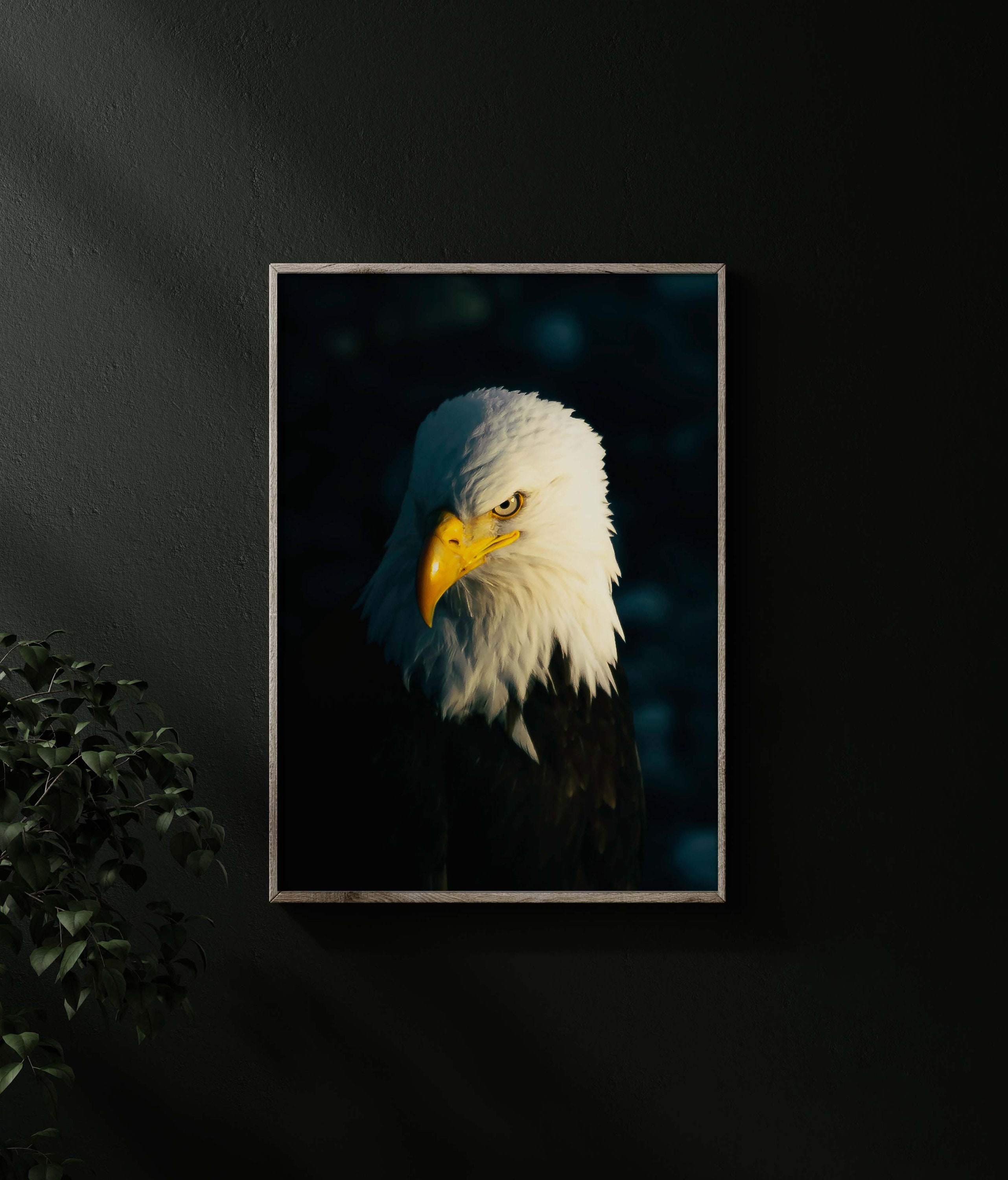 Fine Art Bald Eagle Print Bald Eagle Wall Art Wildlife Print Wildlife ...