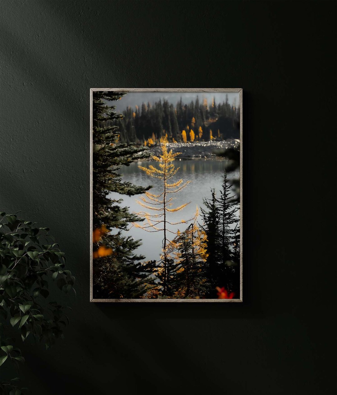Washington Autumn Washington Fall Colors Pacific Northwest Art Pacific ...