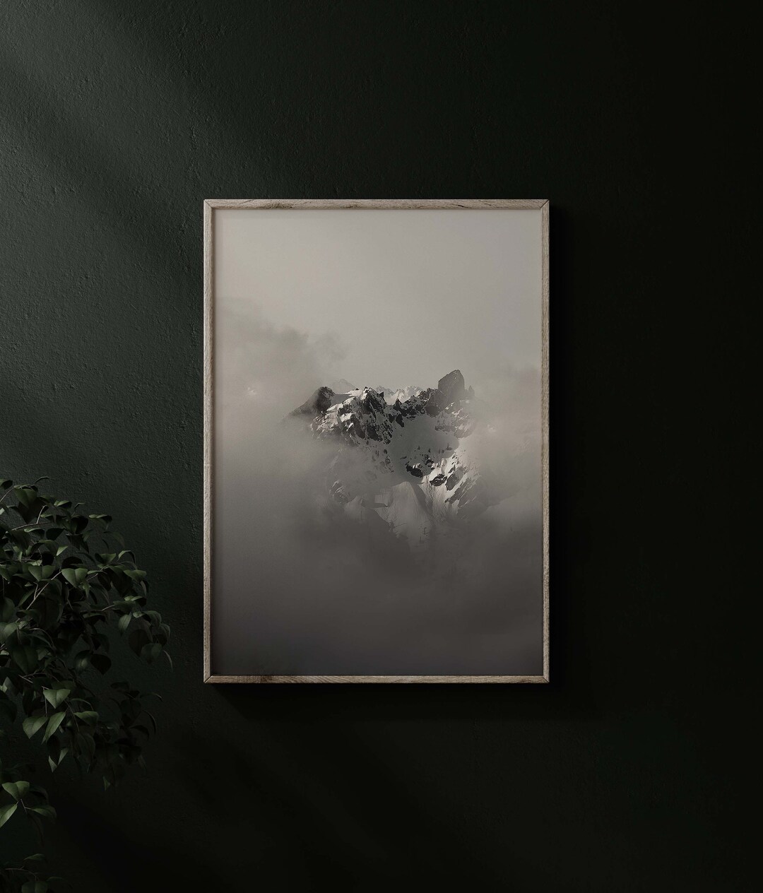 Mount Ellinor Olympic National Part Washington Mountains Cascade ...