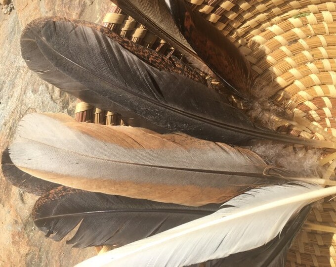10 Chicken Feathers - Etsy