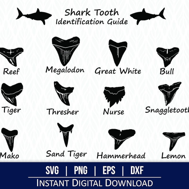 Shark Teeth Templates - Etsy