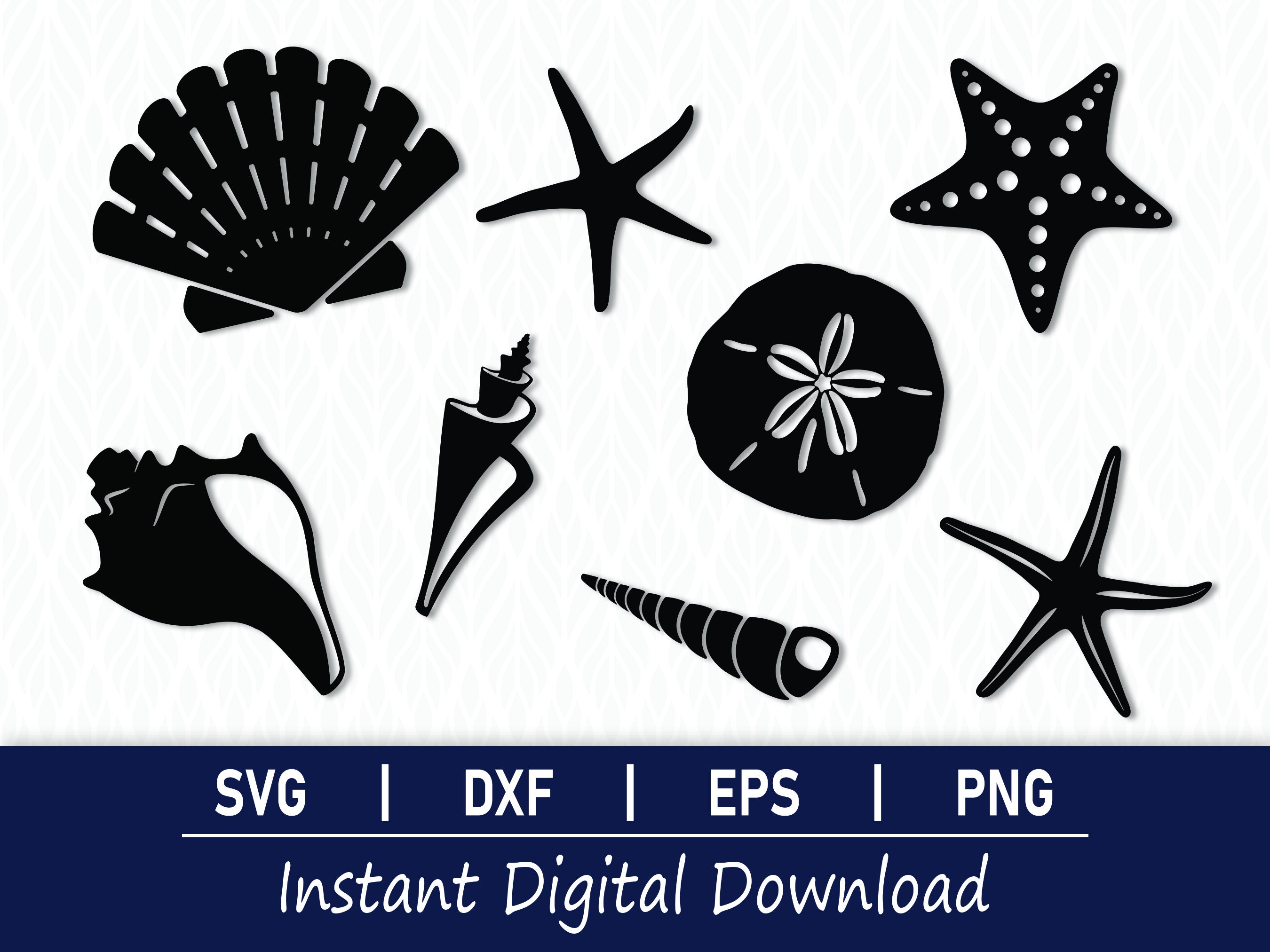 Seashell SVG Starfish SVG Ocean SVG Beach Svg Sea - Etsy