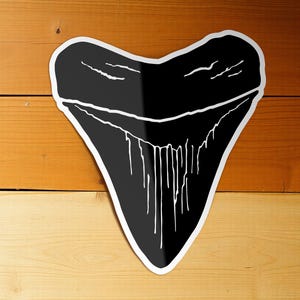 Shark Tooth SVG | Shark Teeth Guide | Shark Tooth Identification ...