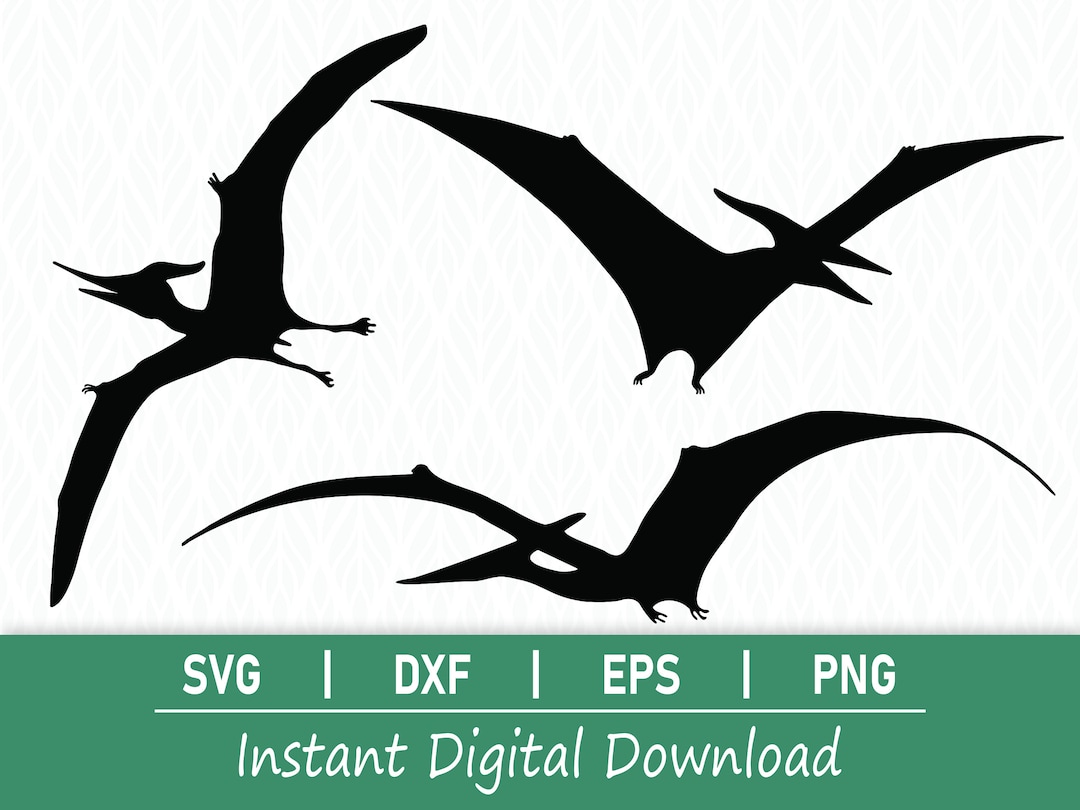 Pterodactyl SVG - Instant Digital Download - Svg, Png, Dxf and Eps ...