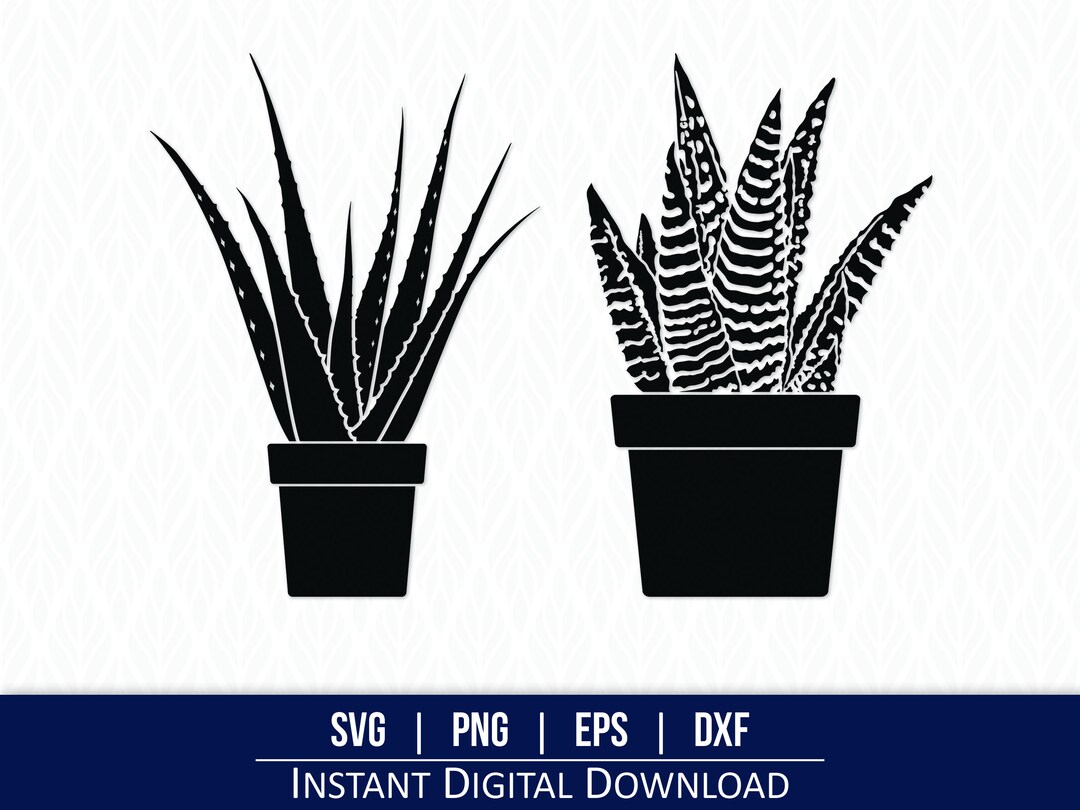 Succulent SVG, Aloe Vera SVG, Plant SVG - Instant Digital Download ...
