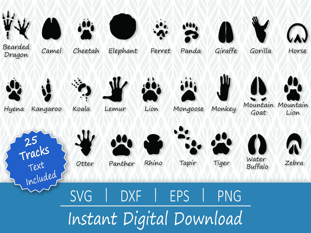 Animal Tracks Svg - Instant Digital Download - Svg, Png, Dxf and Eps ...