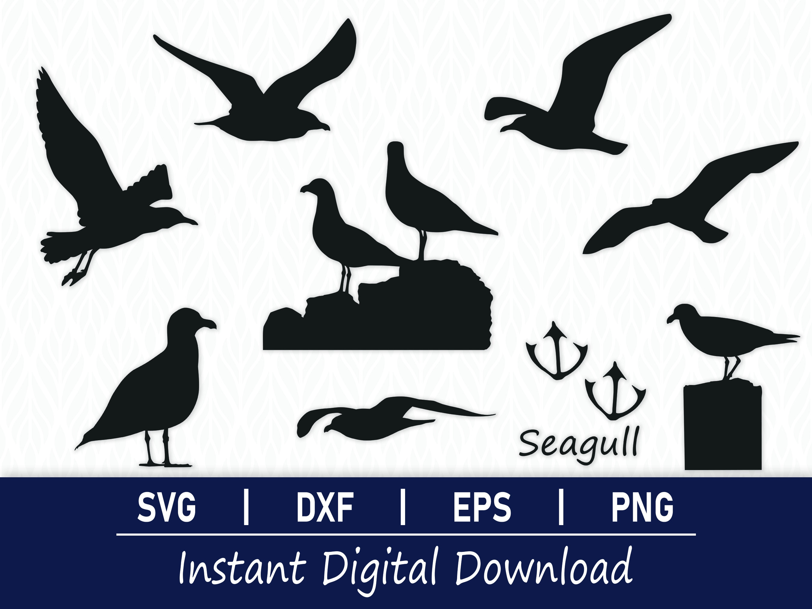 Seagull Outline Clipart Images
