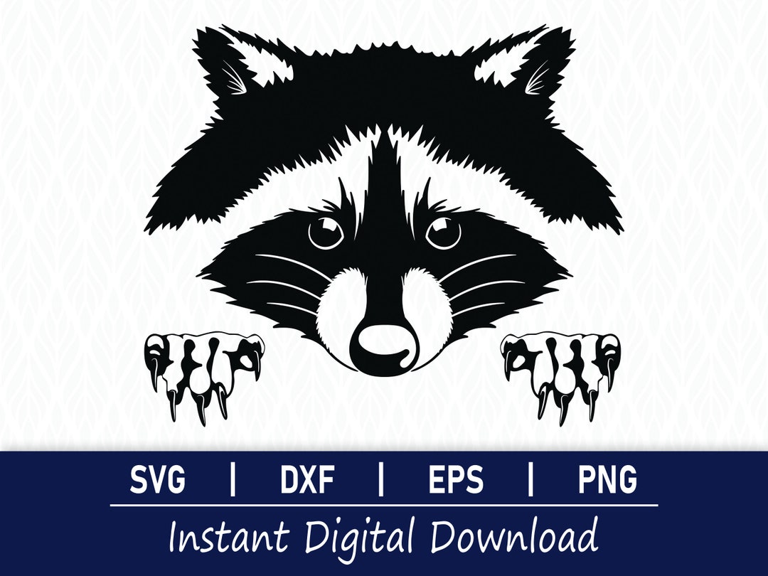 Raccoon SVG Raccoon Animal Svg Raccoon Vector Raccoon - Etsy