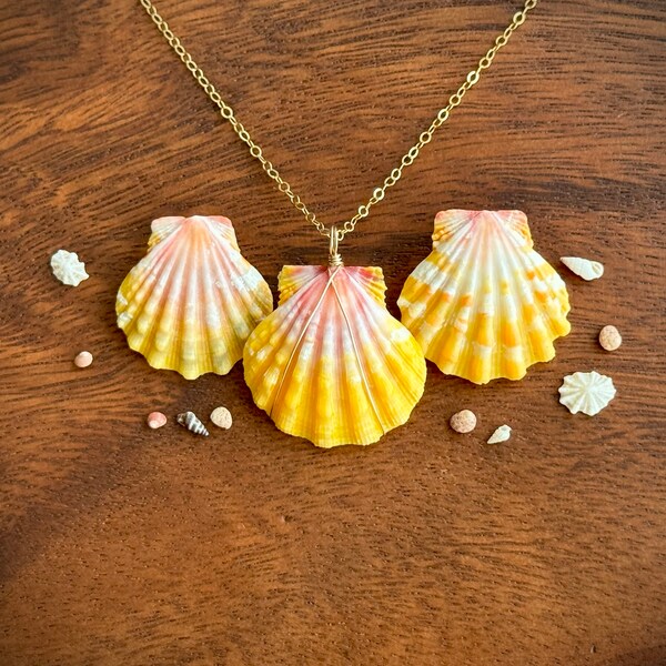 Sunrise Shell Necklace - Etsy