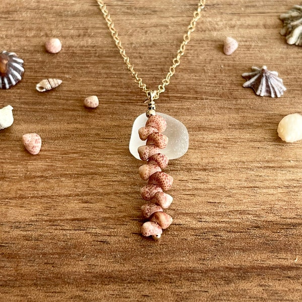 Niihau Shell Necklace - Etsy
