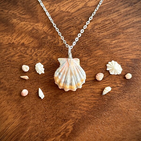 Sunrise Shell - Etsy