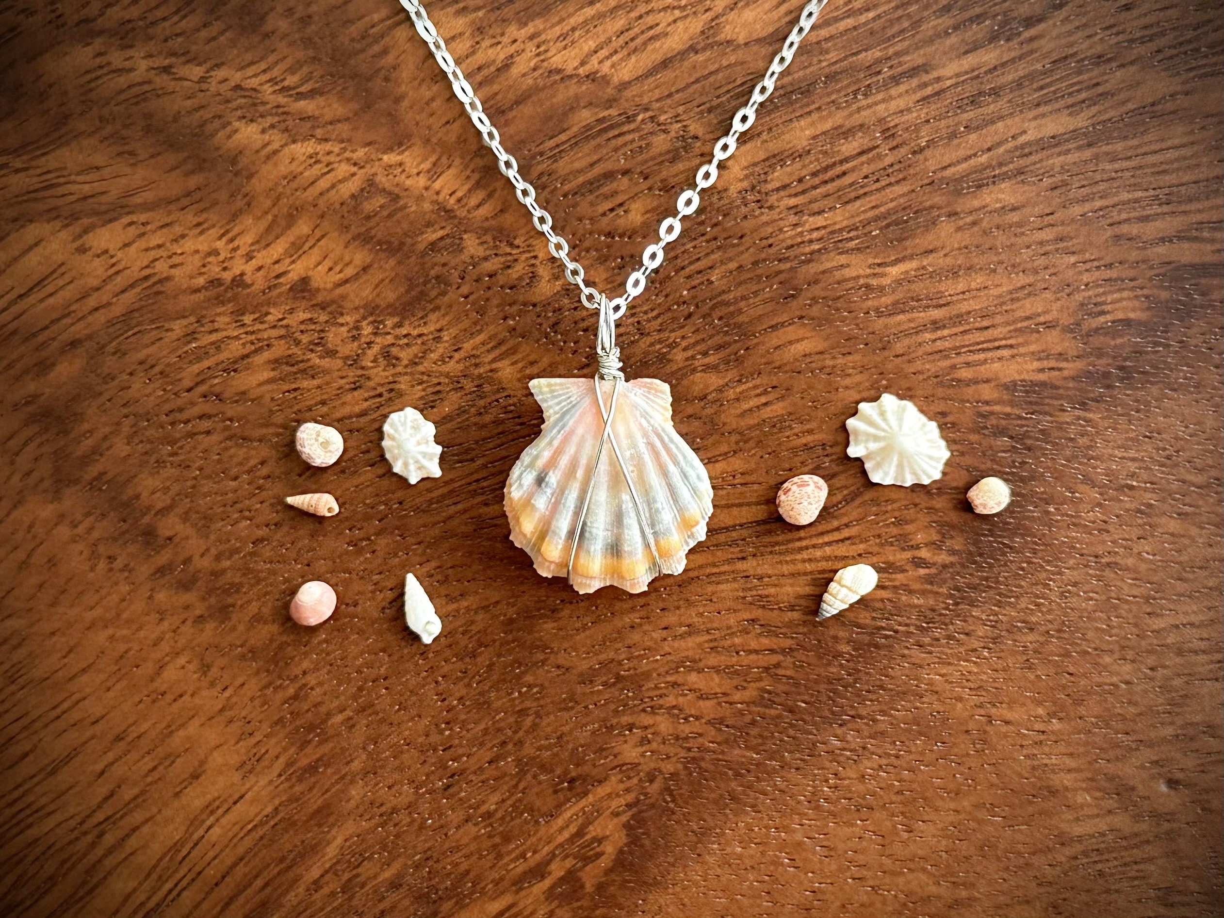 RARE Sunrise Shell (aka Moonrise Shell) Sterling Silver Wrapped ...
