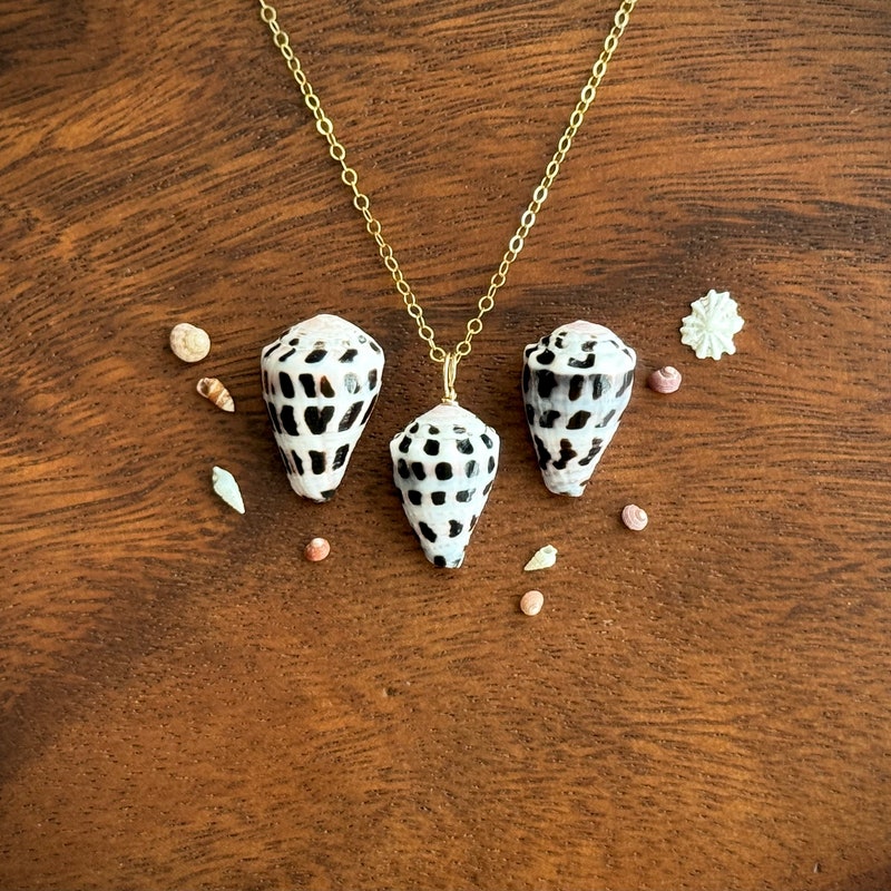 Cone Shell Jewelry - Etsy