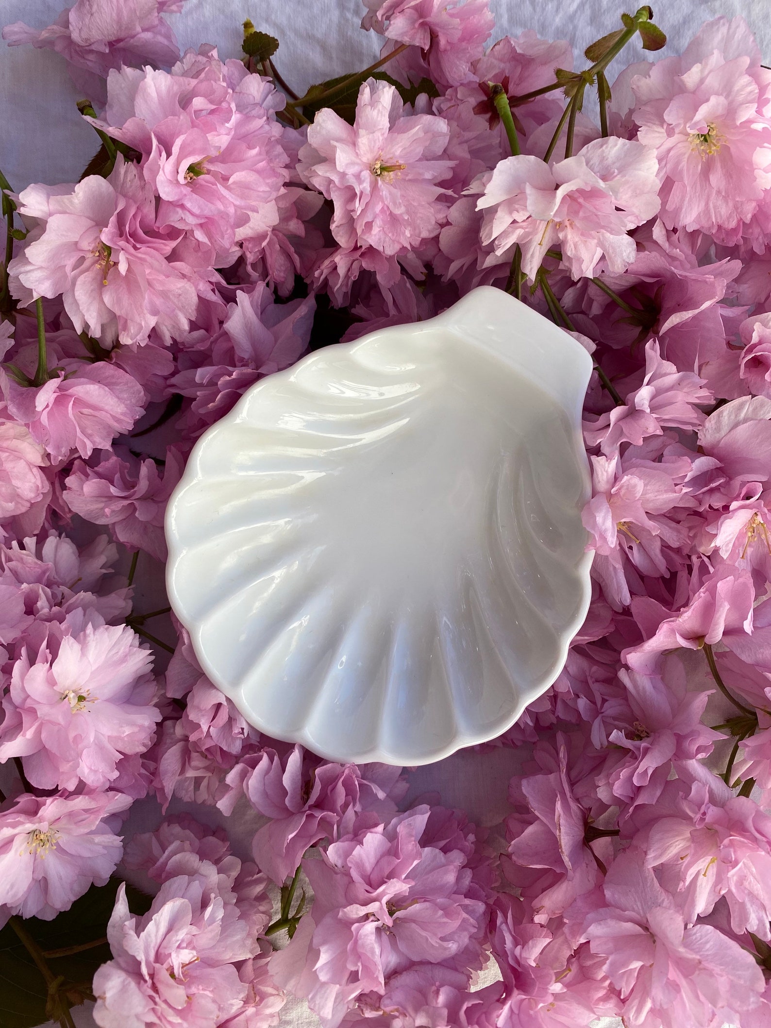 White ceramic scallop shell dish - Etsy.de