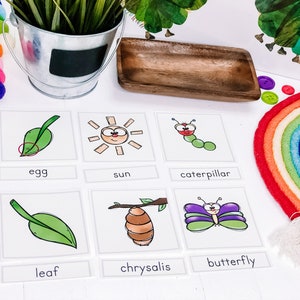 Butterfly Life Cycle, Butterfly Printable for Kids, Hungry Caterpillar ...