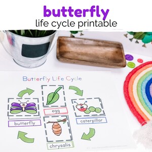 Butterfly Life Cycle, Butterfly Printable for Kids, Hungry Caterpillar ...