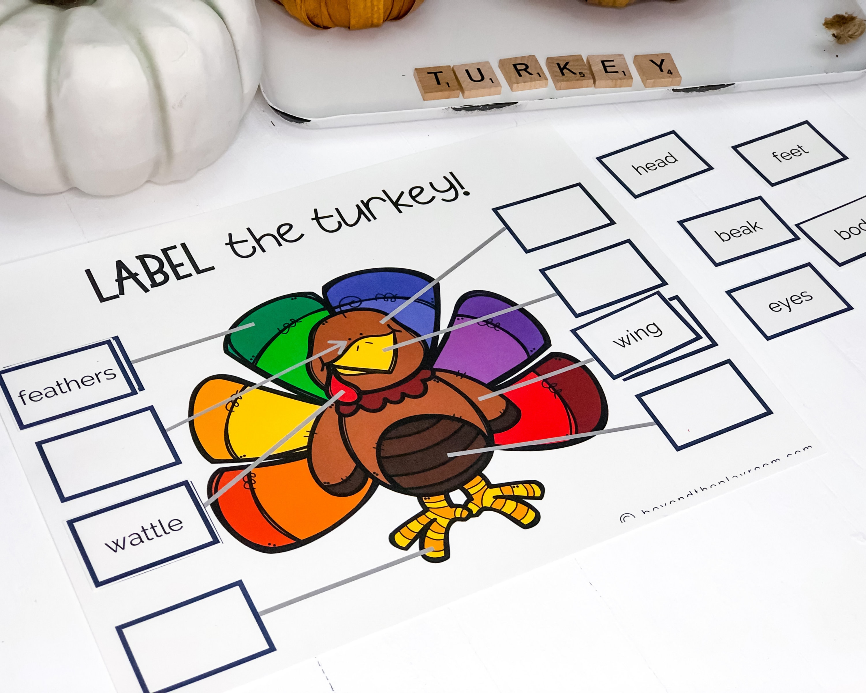 Label the Turkey, Turkey Printable for Kids, Thanksgiving Activity ...
