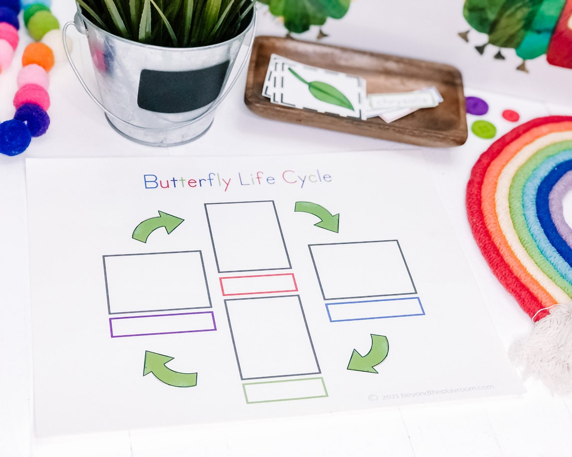Butterfly Life Cycle, Butterfly Printable for Kids, Hungry Caterpillar ...