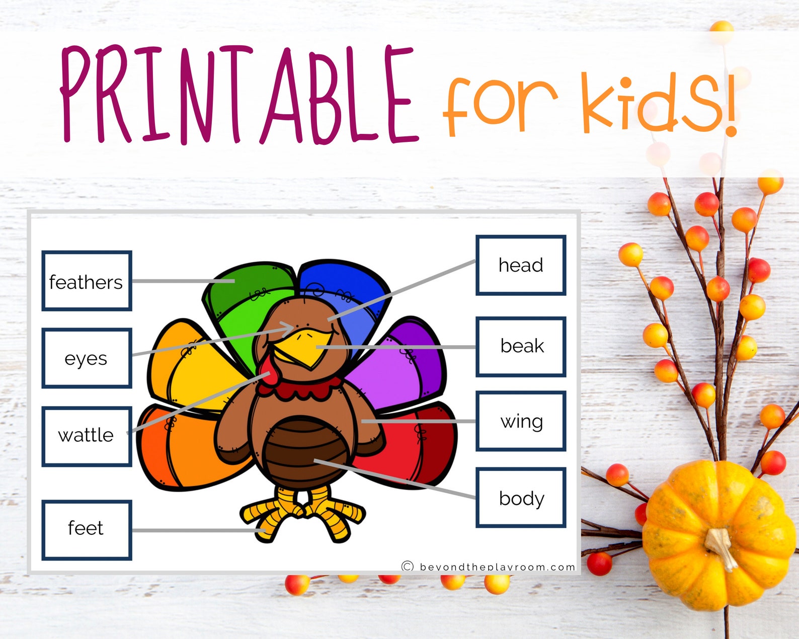 Label the Turkey Thanksgiving Activity for Kids Early | Etsy