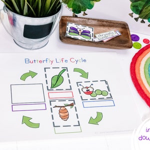 Butterfly Life Cycle, Butterfly Printable for Kids, Hungry Caterpillar ...