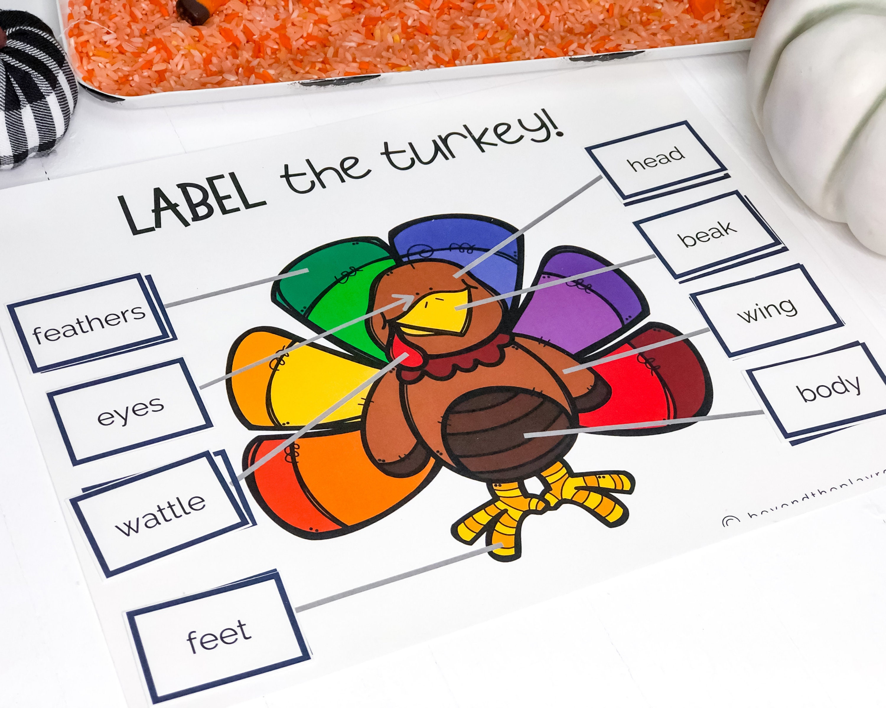 Label the Turkey, Turkey Printable for Kids, Thanksgiving Activity ...