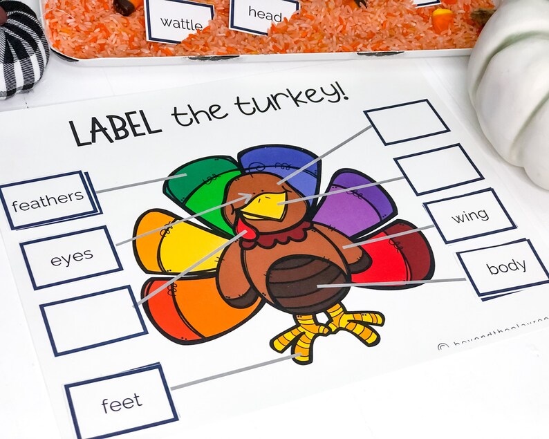Label the Turkey, Turkey Printable for Kids, Thanksgiving Activity ...