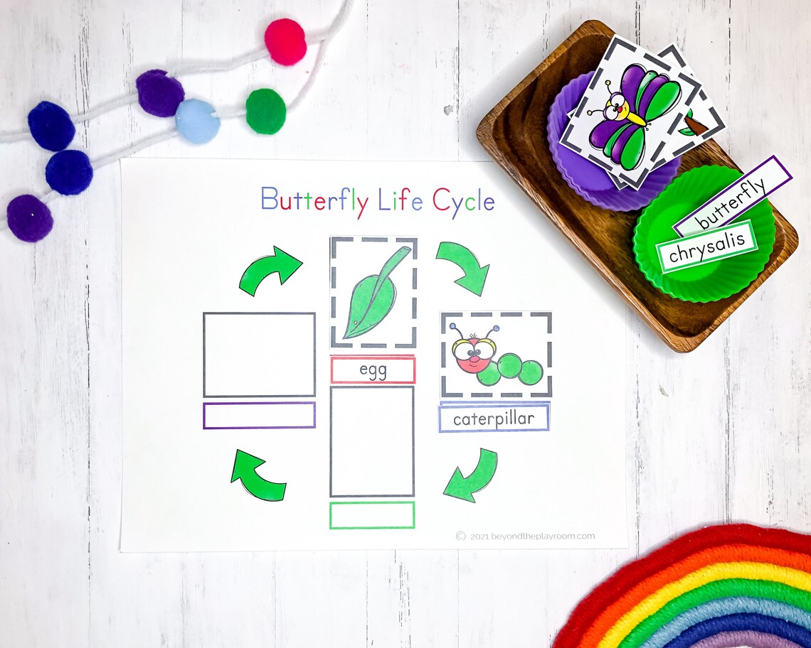 Butterfly Life Cycle Butterfly Printable for Kids Hungry | Etsy
