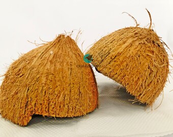 Coconut Shell Half - Etsy