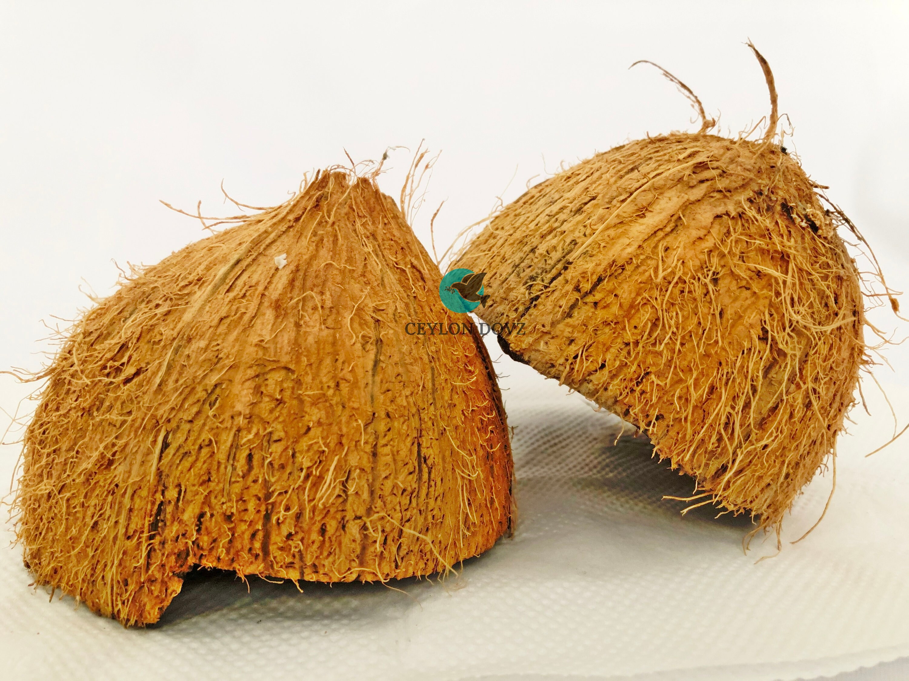 Coconut Shell,coconut Shell Half,100% Ceylon Coconut Bowl,natural ...