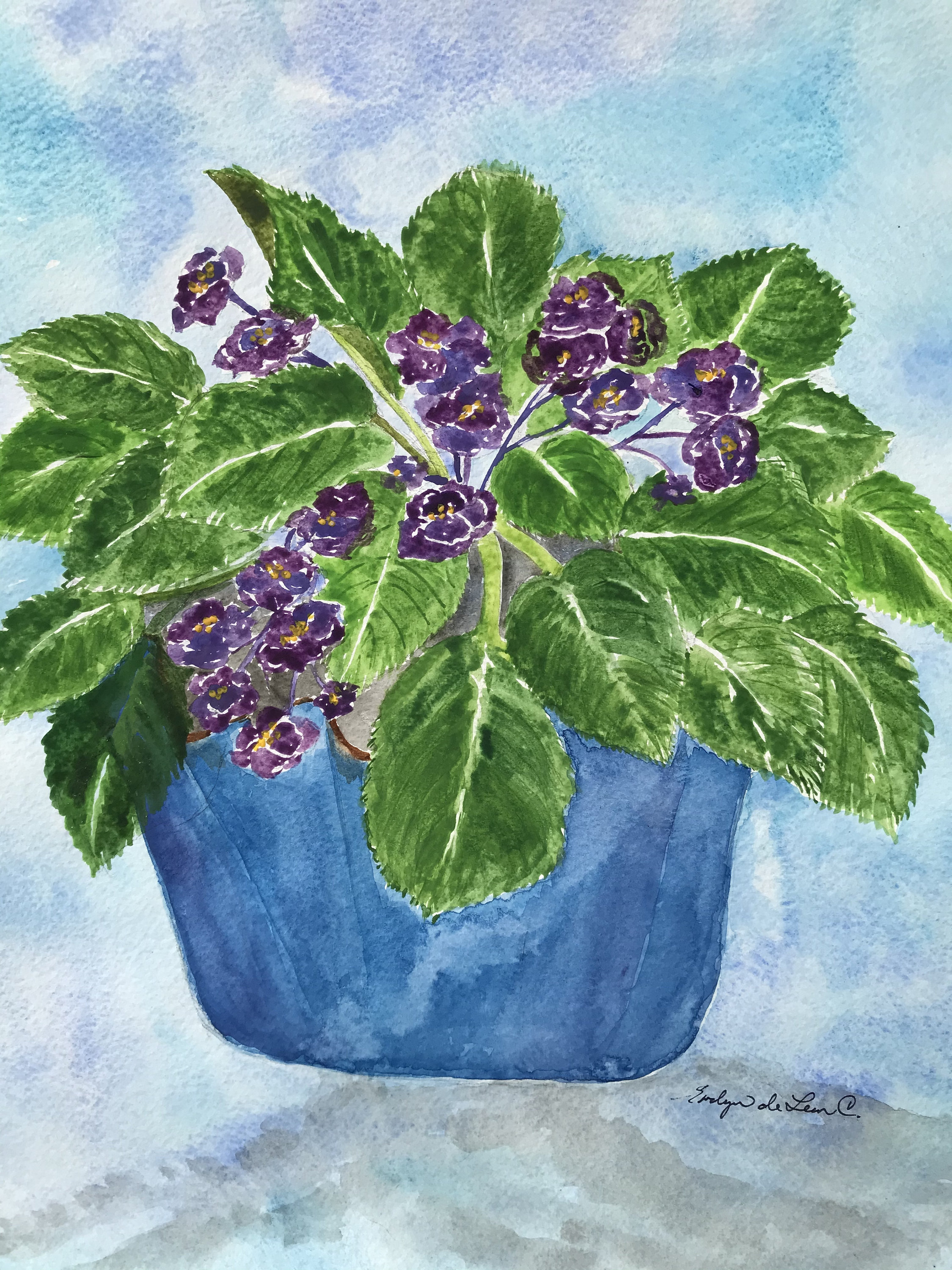 11x14 Blooming African Violets original watercolor | Etsy