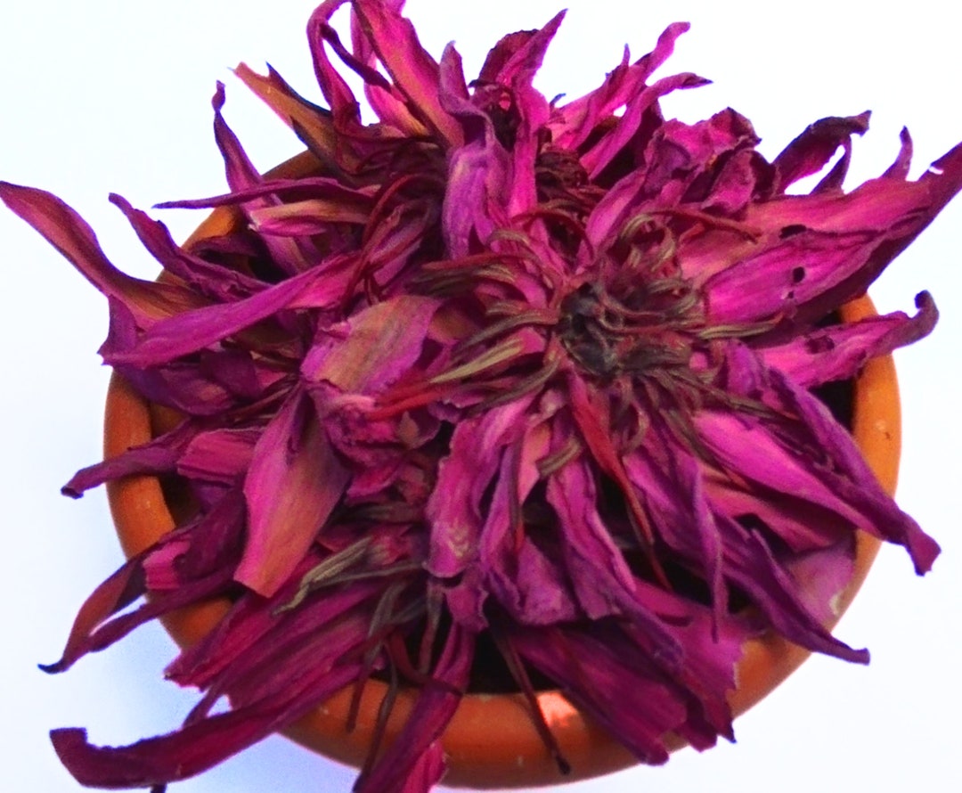 Red Water Lily Flowers Tea Natural Red Lotus Flower Tea - Etsy