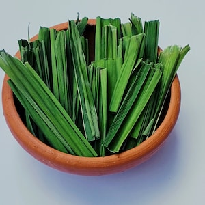 Pandan Leaves Organic Pandan Leaves Dried Pandan Leaf for - Etsy