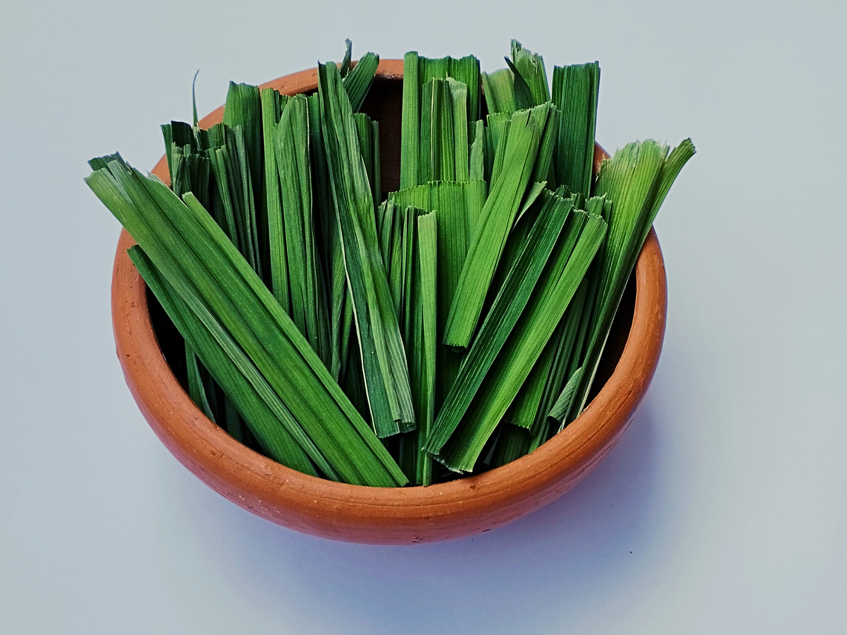 Pandan Leaves Organic Pandan Leaves Dried Pandan Leaf for - Etsy