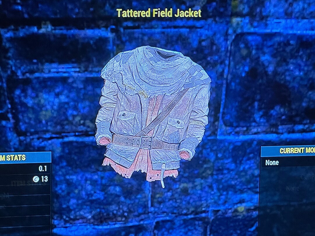 TATTERED FIELD JACKET Fallout 76 Xbox Rare Apparel Read Description - Etsy