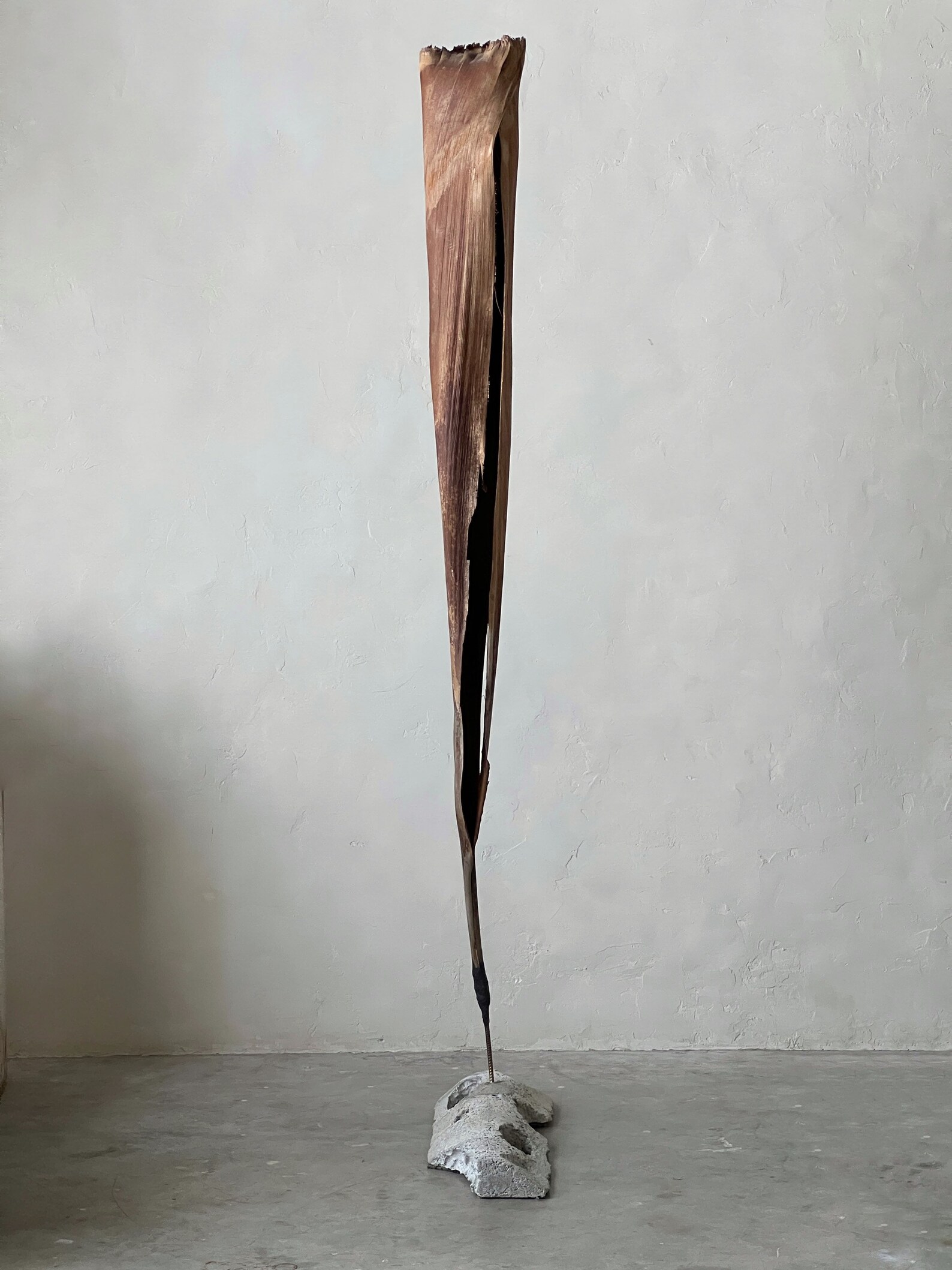 Palm Husk Sculpture - Etsy