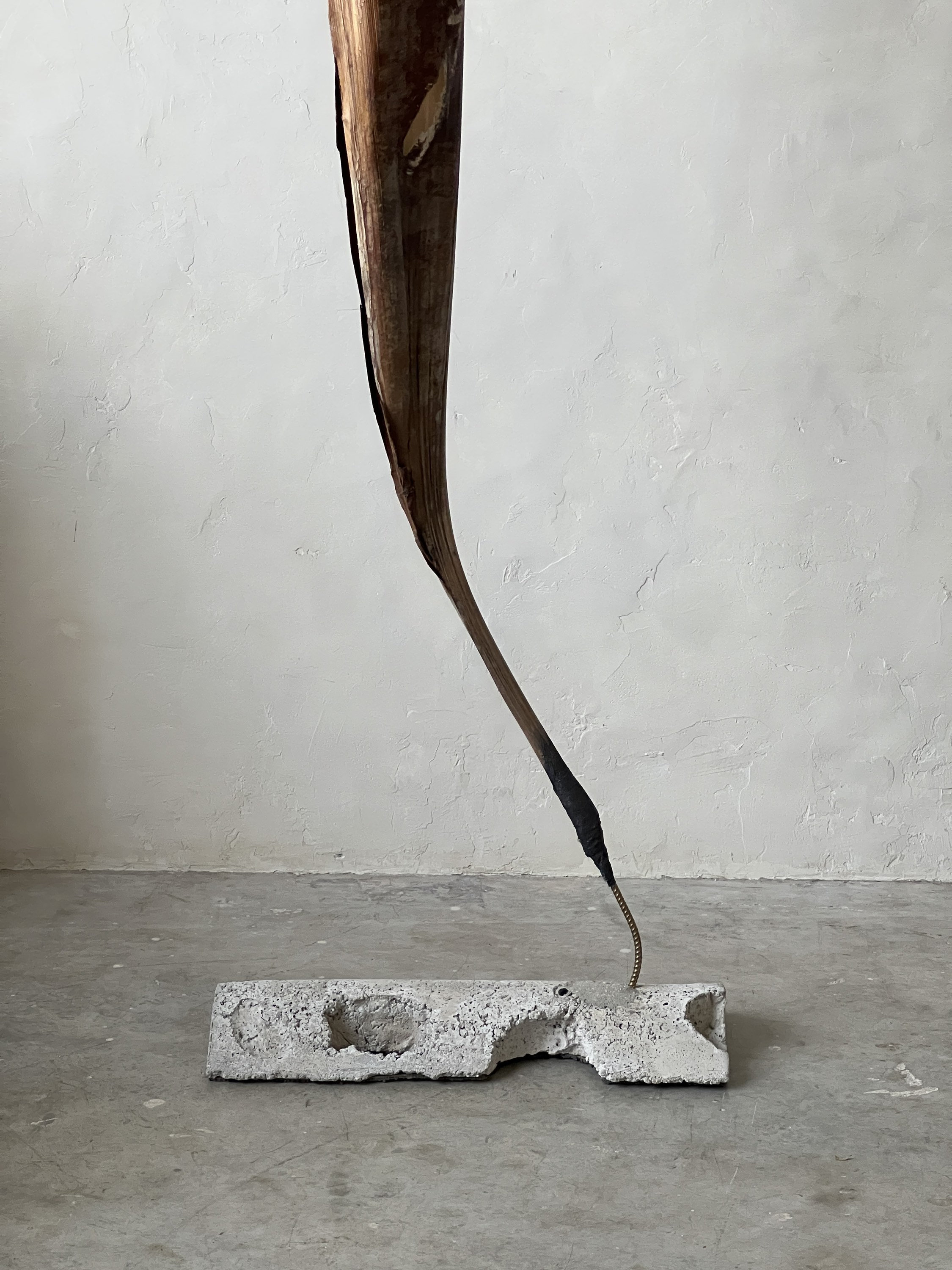 Palm Husk Sculpture - Etsy