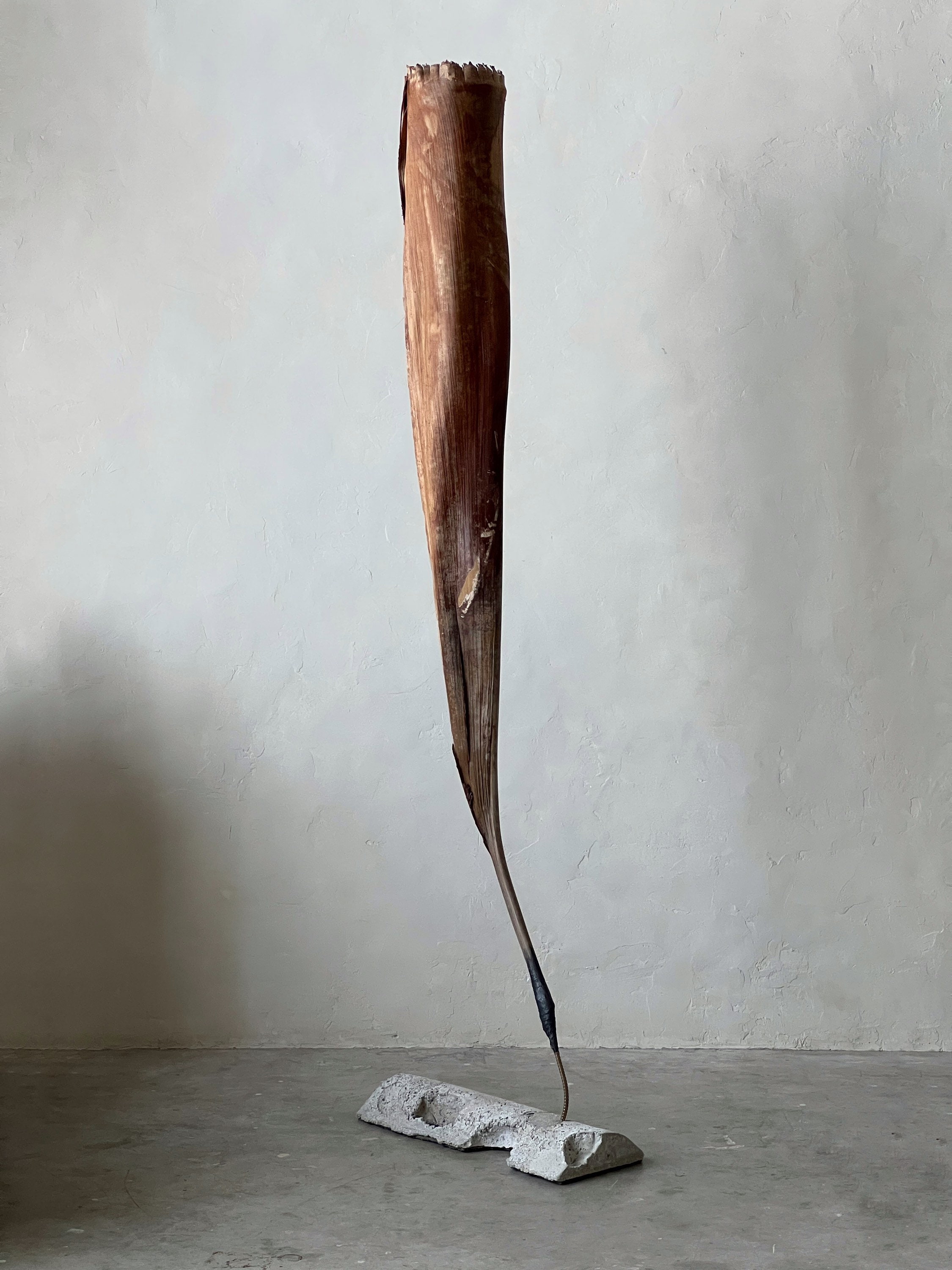Palm Husk Sculpture - Etsy