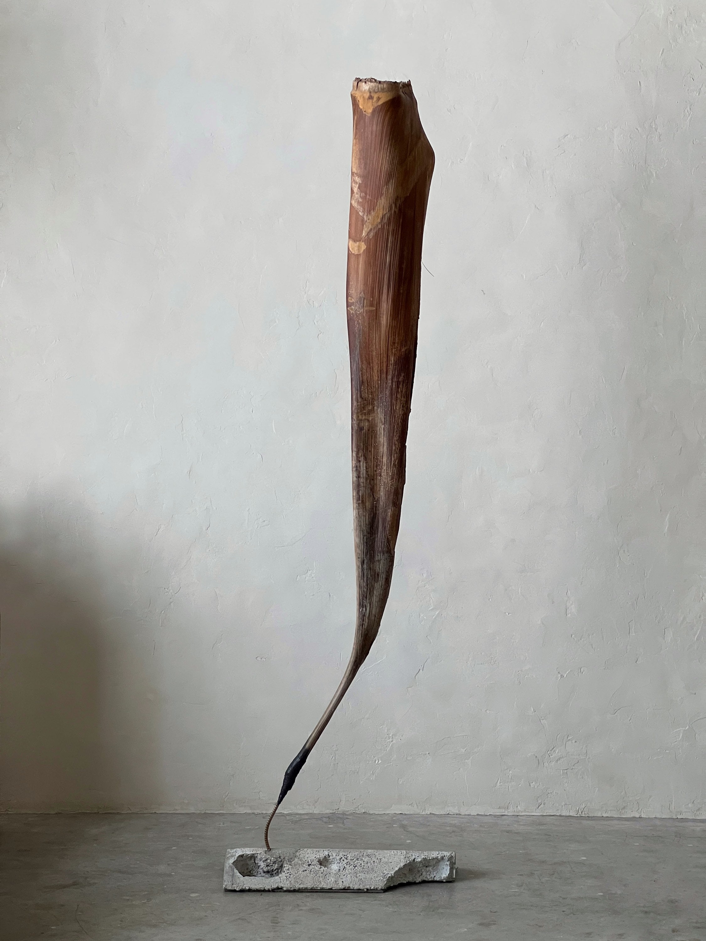 Palm Husk Sculpture - Etsy
