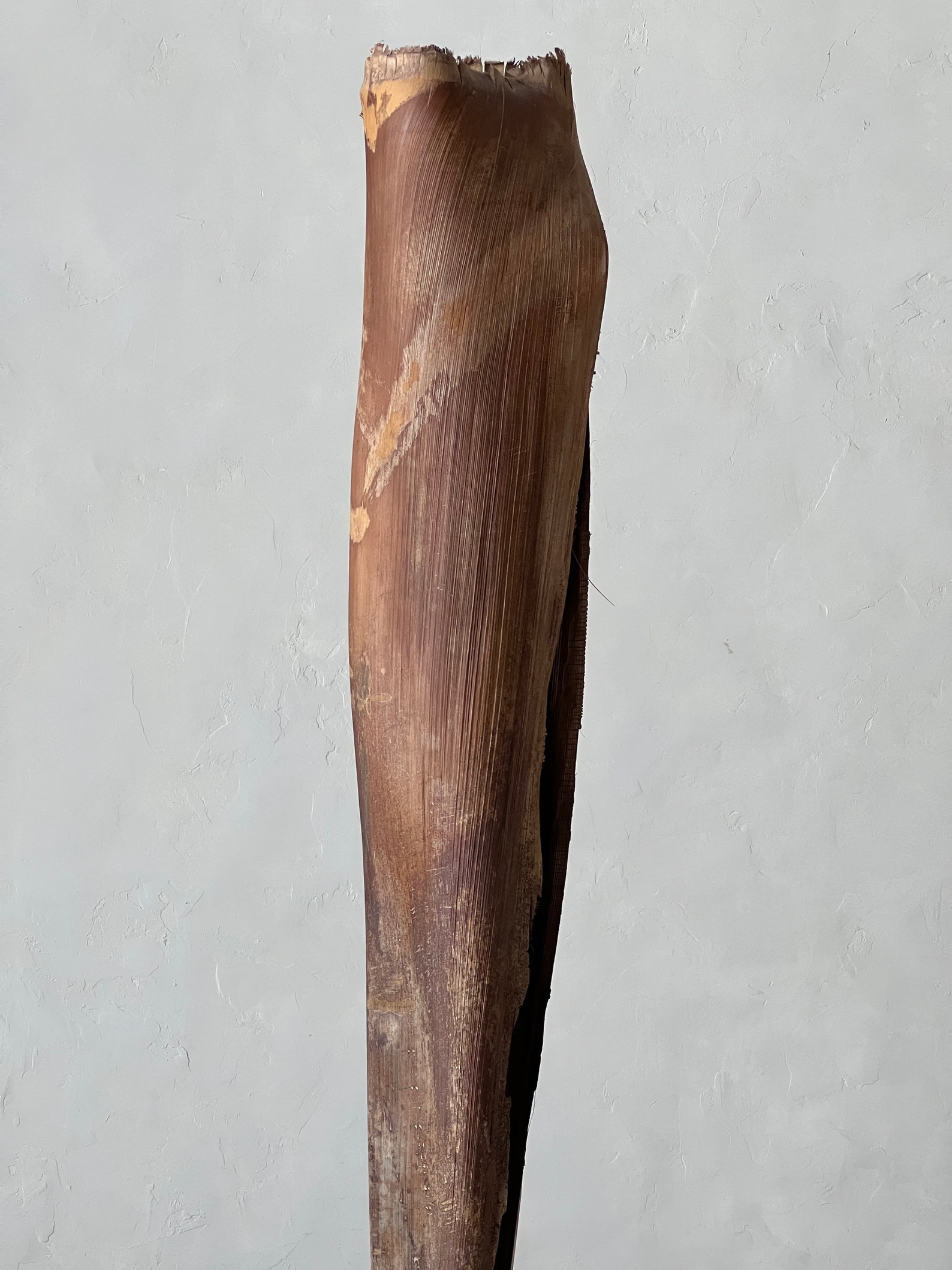 Palm Husk Sculpture - Etsy