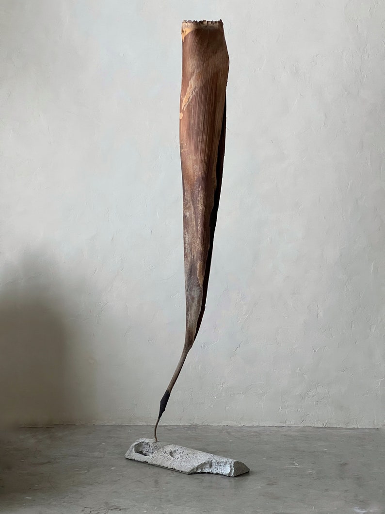 Palm Husk Sculpture - Etsy
