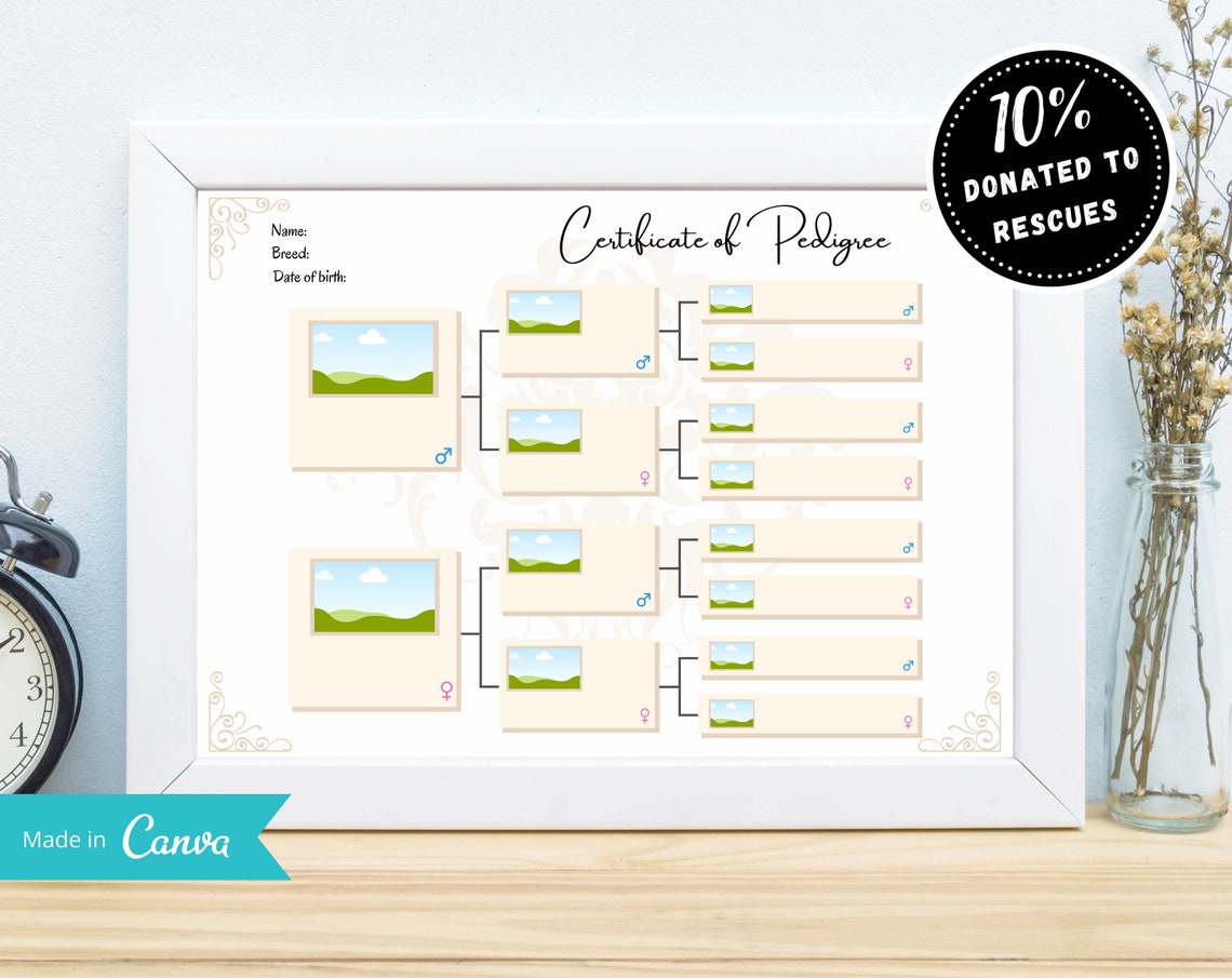 PRINTABLE Dog Pedigree, Dog Breeder, Pedigree Certificate, Breeder ...