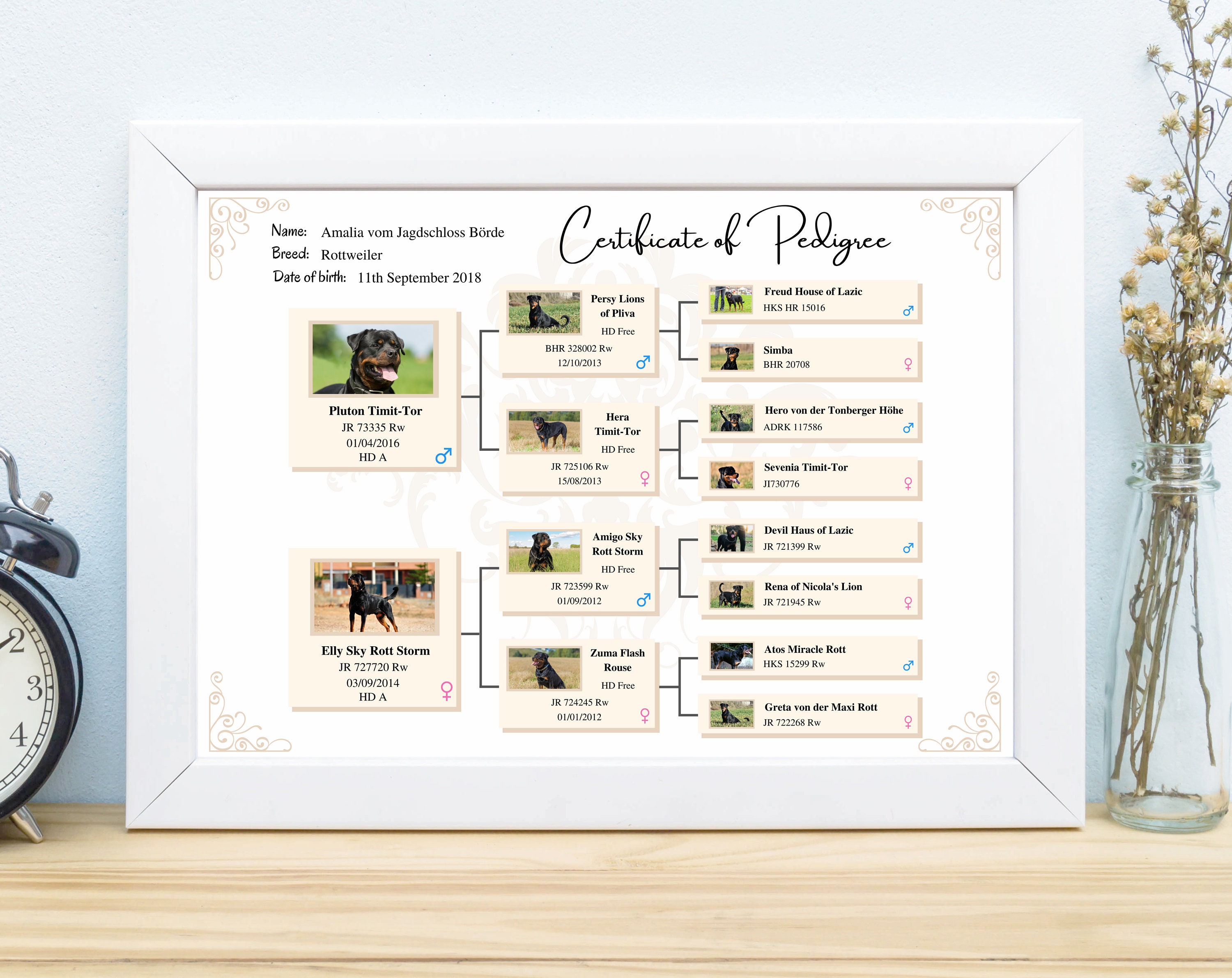 PRINTABLE Dog Pedigree, Dog Breeder, Pedigree Certificate, Breeder ...