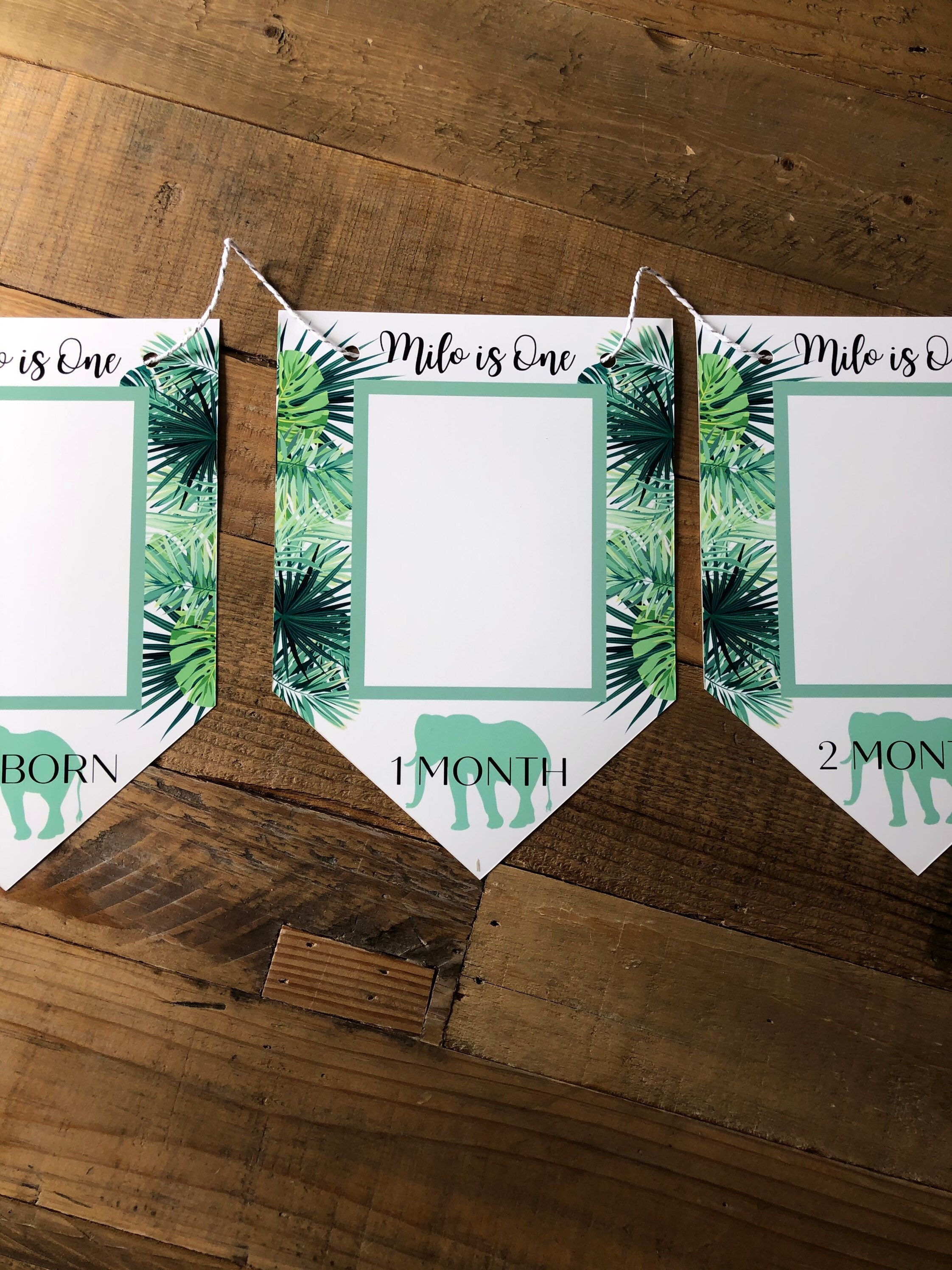 Wild One 1st Birthday Bunting with Safari Animal theme | Etsy