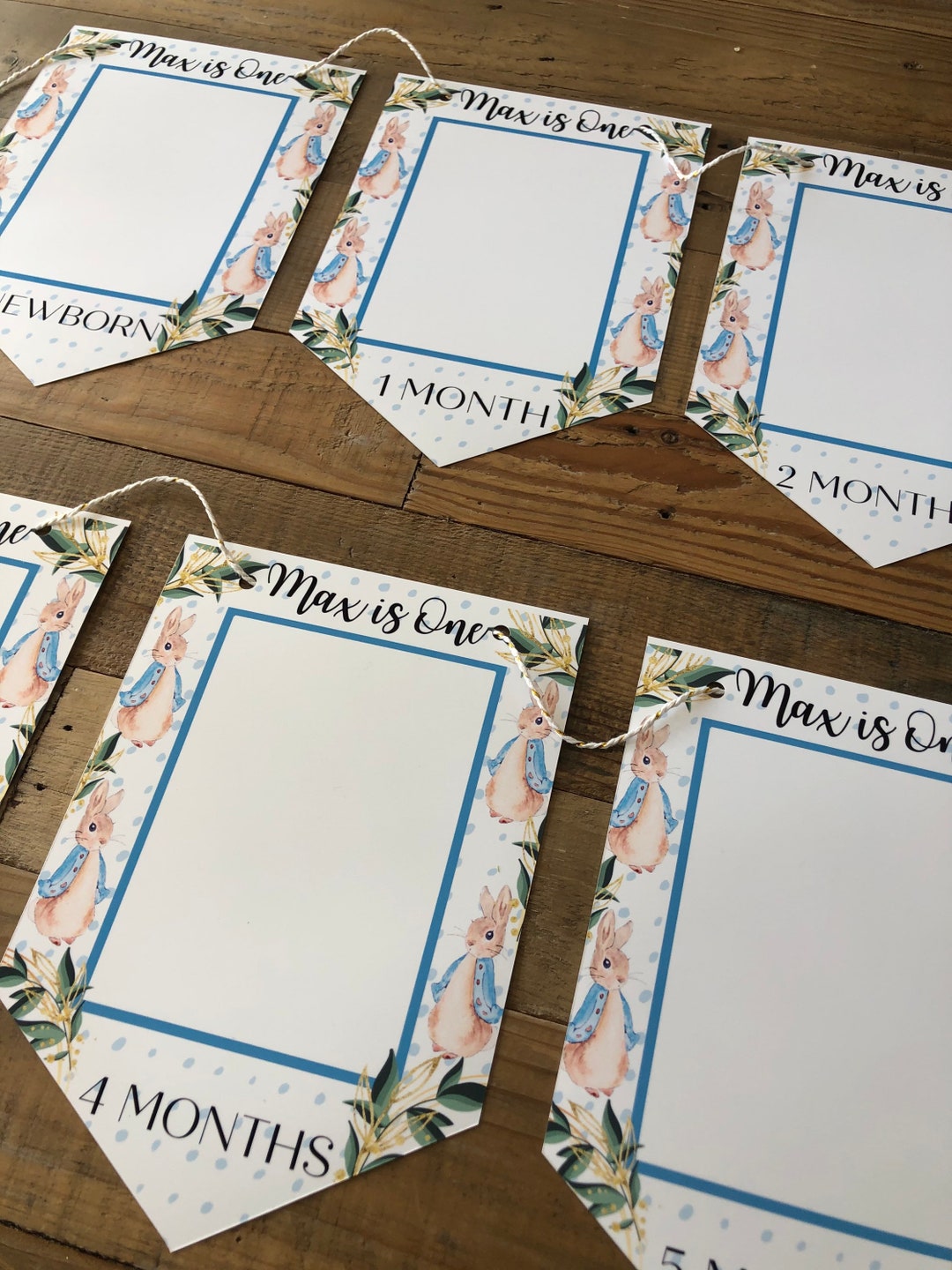 Peter Rabbit 1st Birthday Monthly Milestone Bunting - Etsy