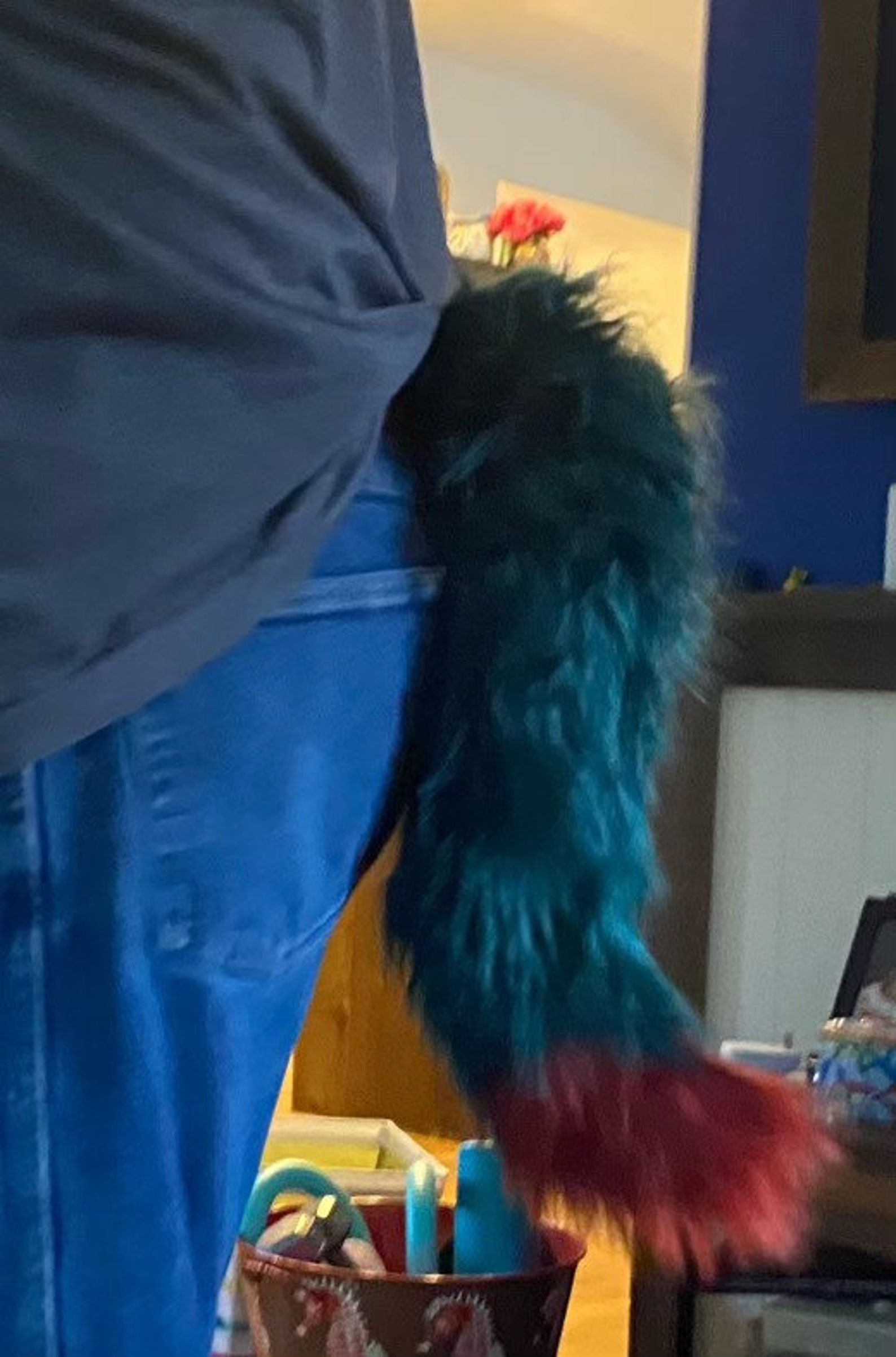 Fursuit Tail Mystery Box - Etsy